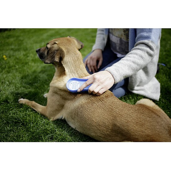 MagicBrush Dog - Hund & Freizeit